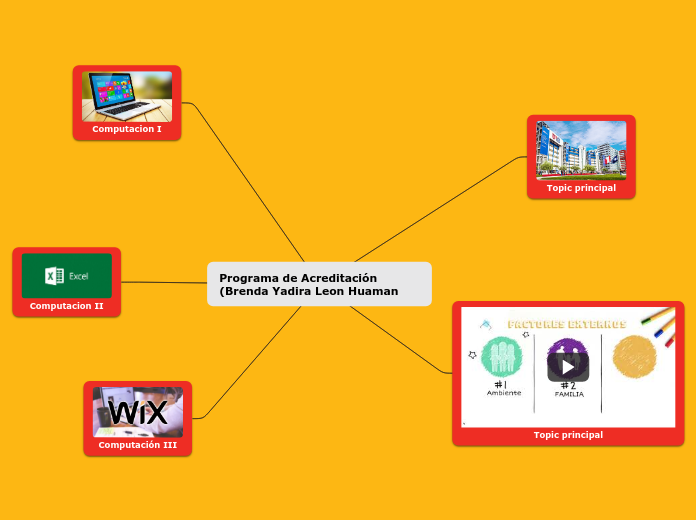 Programa de Acreditación (Brenda Yadira Le...- Mind Map